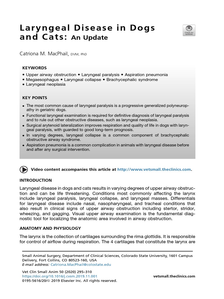 Laryngeal Disease in Dogs and Cats - An Update | PDF | Larynx ...