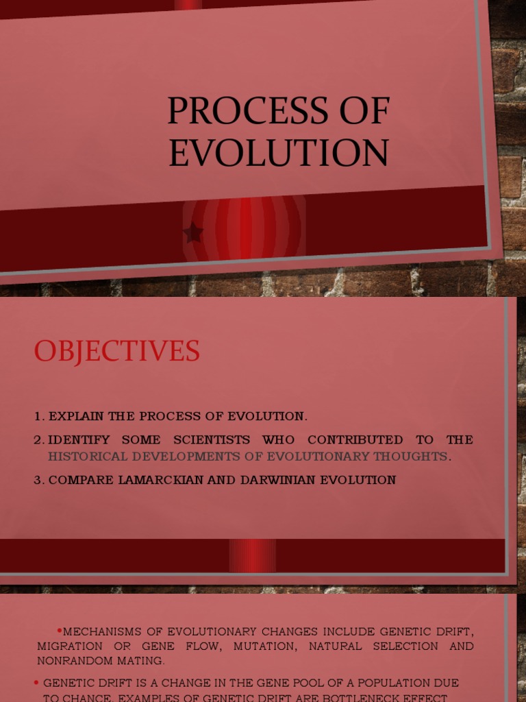 Process of Evolution | PDF | Wellness
