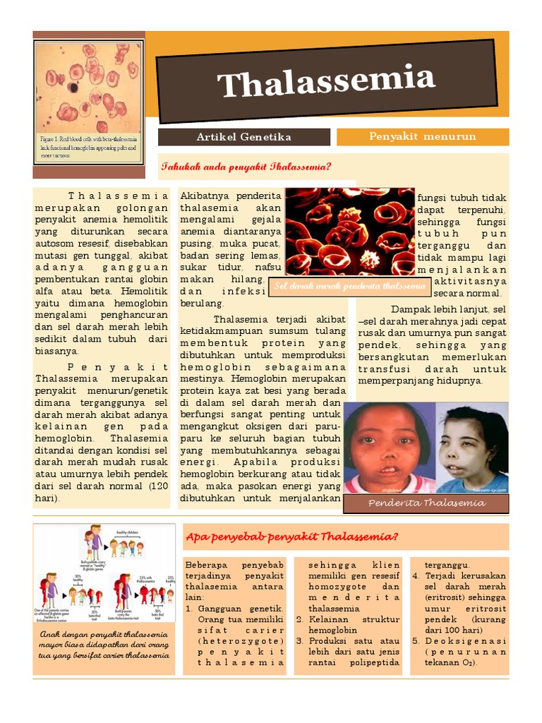 Jurnal Thalassemia | PDF