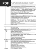 Project in Charge - Job Description | PDF