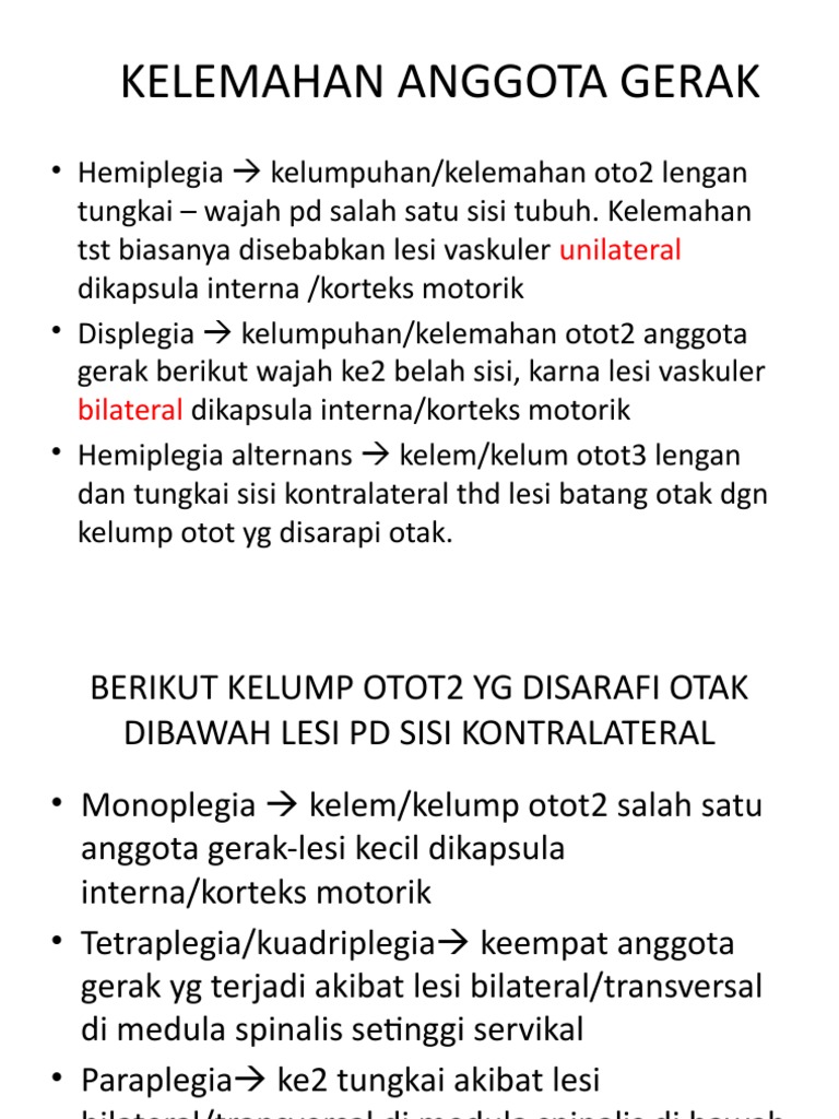 Lmn. Umn. Hs. NHS | PDF