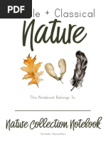Magic Forest Academy-Nature Journal Prompts | PDF | Mushroom | Rock ...