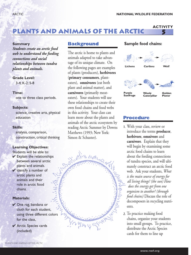 Plants and Animals of The Arctic: Background | PDF | Arctic | Food Web