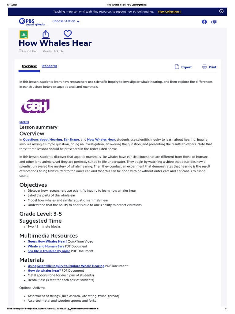 How Whales Hear - PBS LearningMedia | PDF | Hearing | Whales