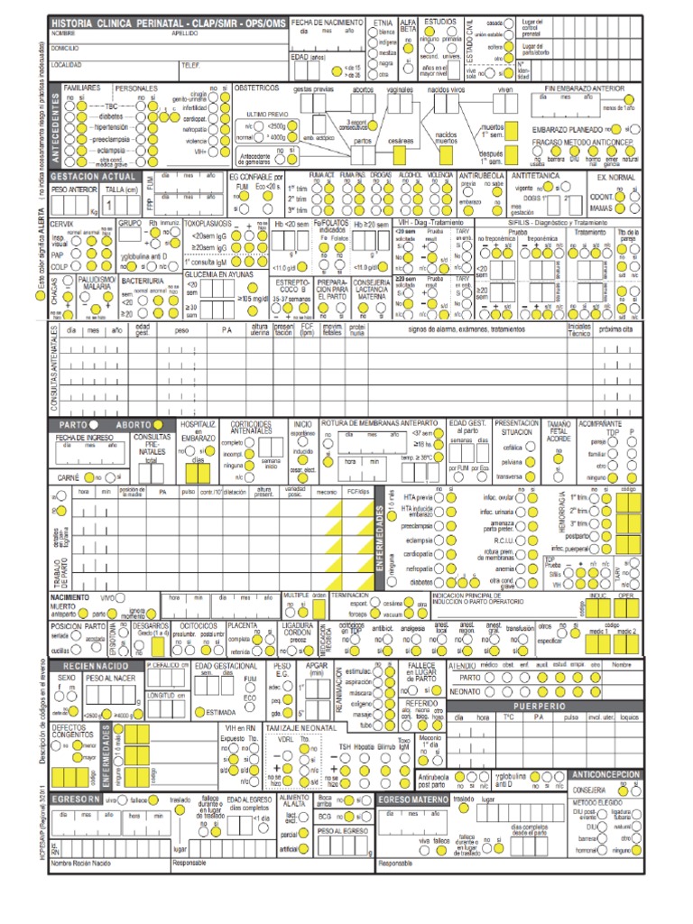 HC Perinatal Formato | PDF