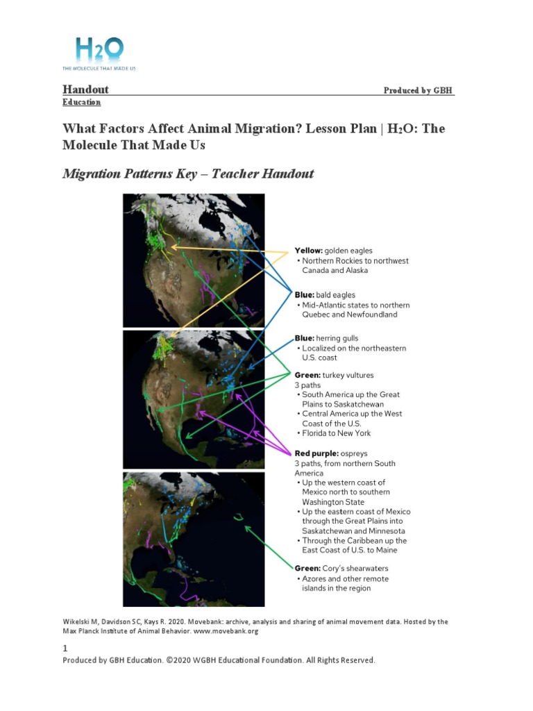 What Factors Affect Animal Migration? Lesson Plan - H O: The Molecule ...