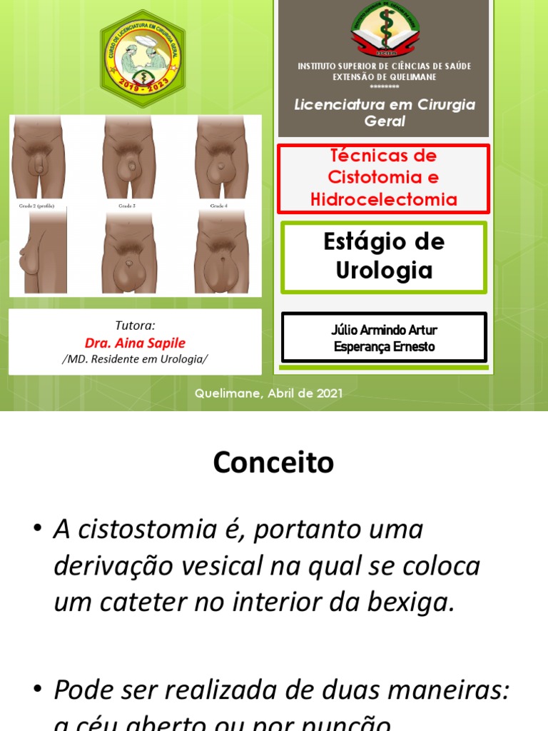 Cistotomia e Hidrocelectomia | PDF | Testículo | Bexiga urinária