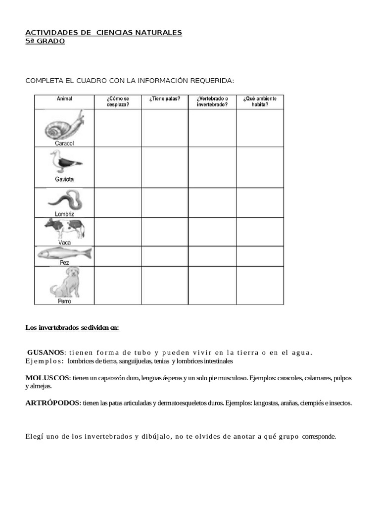 Actividades Vertebrados e Invertebrados | PDF | Ciencia y matemáticas