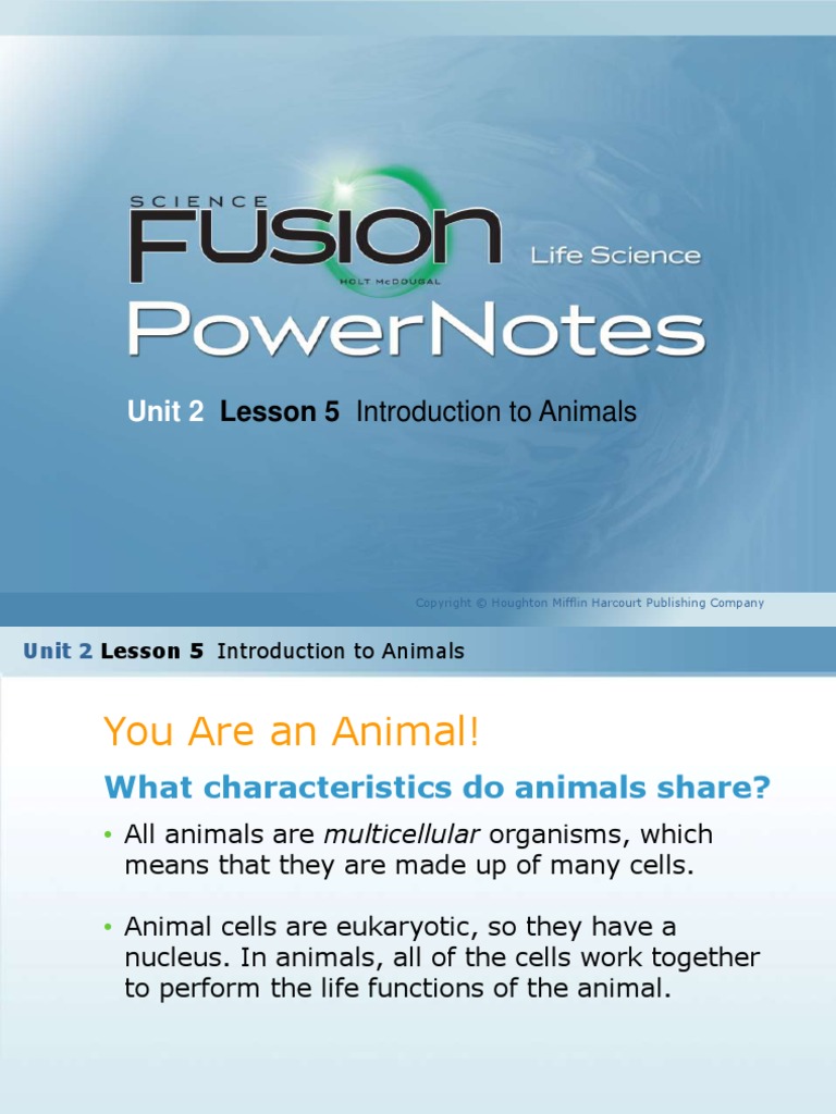 7th Grade Lesson 25 Introduction To Animals | PDF | Sex | Sexual ...