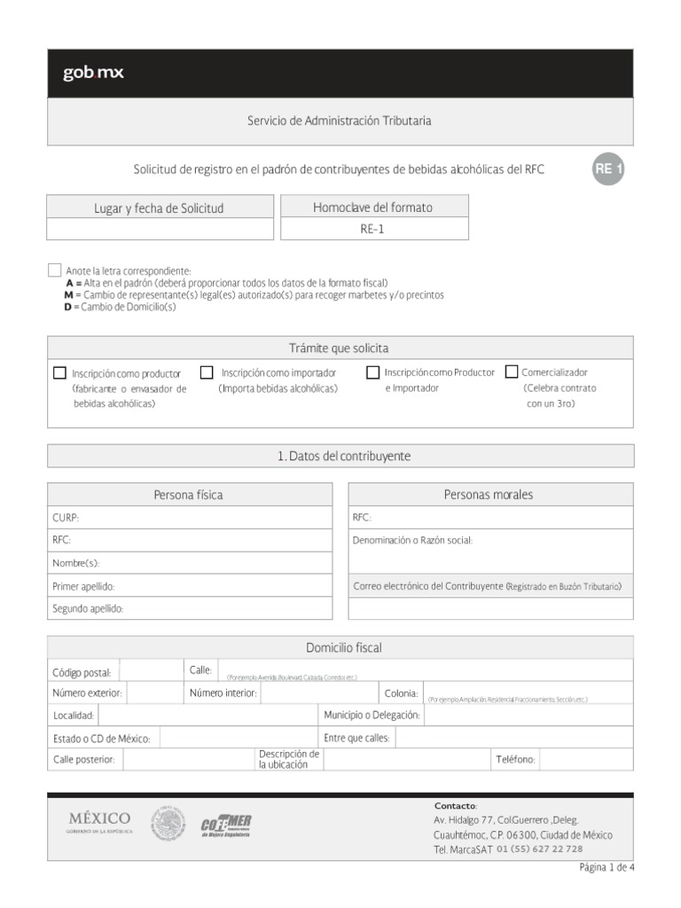 Formato RE1 Editable | PDF