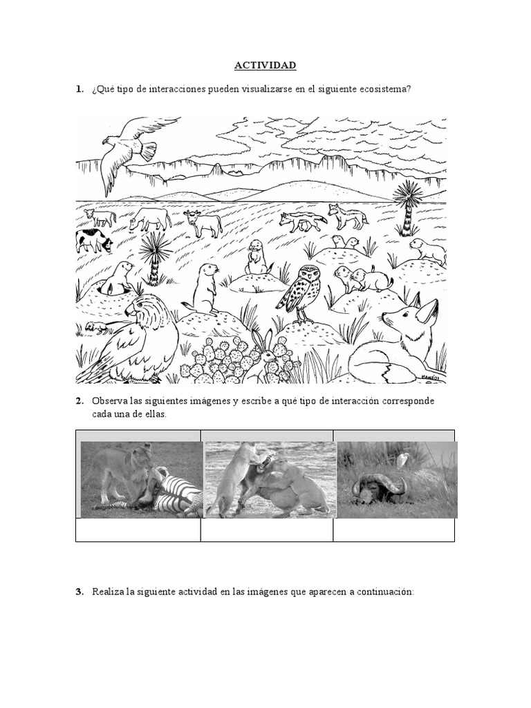 Tipos de interacciones en un ecosistema y sus componentes | PDF