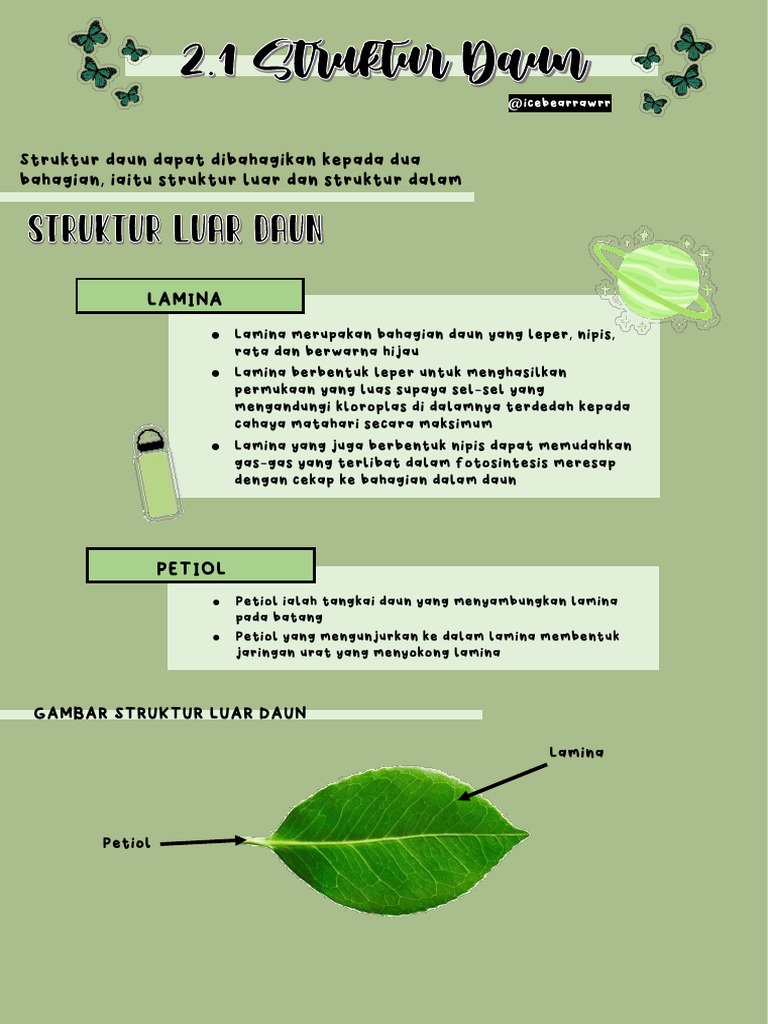 2.1 Struktur Daun Biologi | PDF