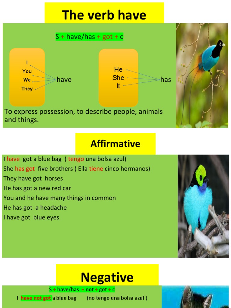 English Verb Have Usage Guide Pdf Language Arts And Discipline 9148