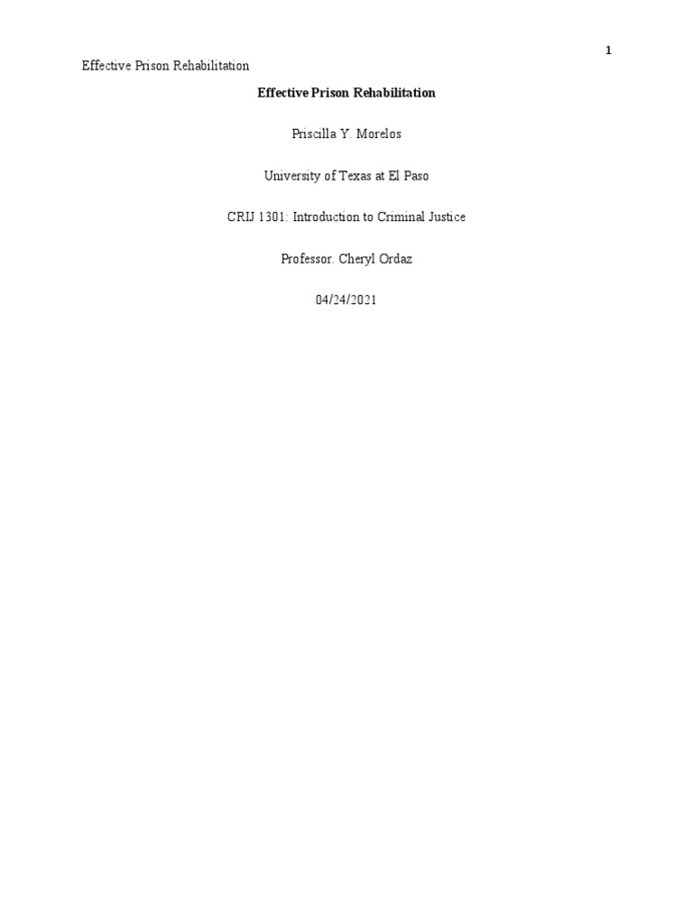 Effective Rehabilitation in Prisons | PDF | Drug Rehabilitation ...