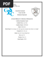 Sba Sample - Csec Math | PDF | Questionnaire | Chart