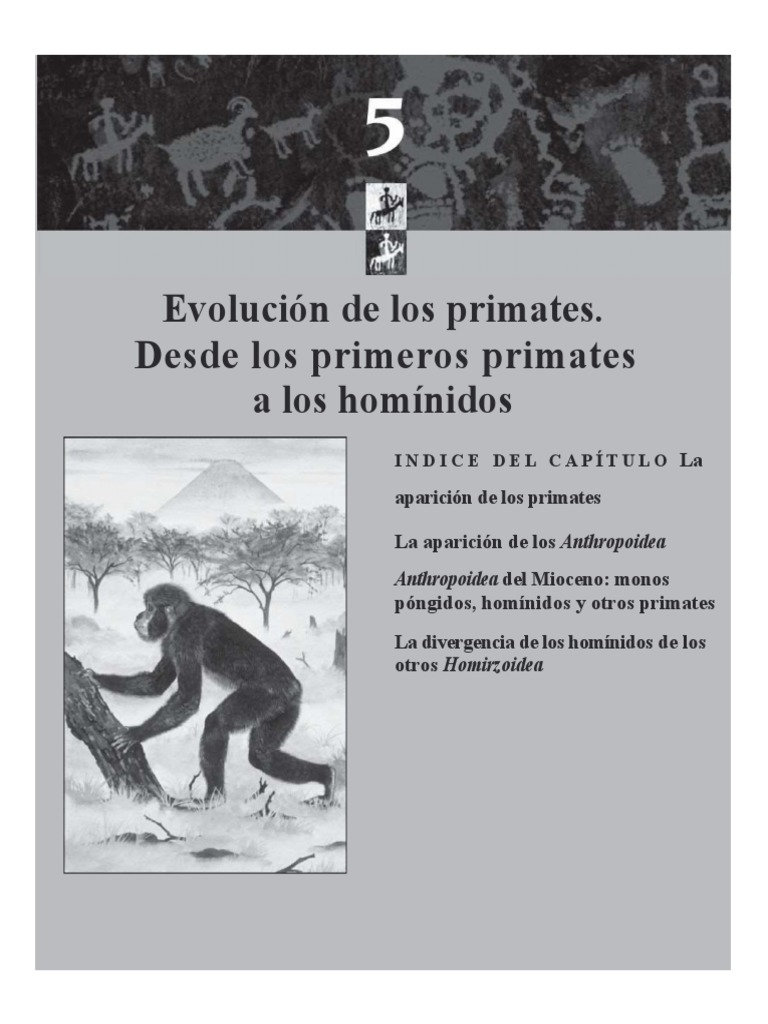 Evolución de Los Primates. | PDF | Clima | Evolución