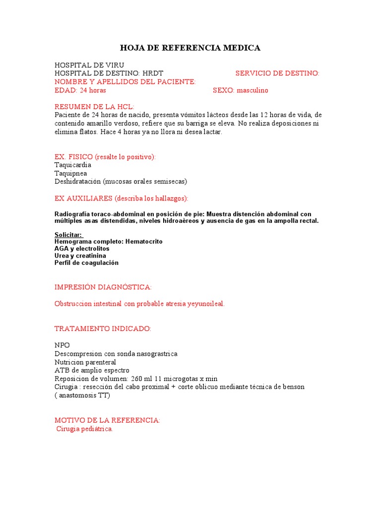 Formato Hoja de Referencia Medica | PDF