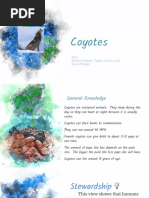 Katalco | PDF | Zinc Oxide | Catalysis