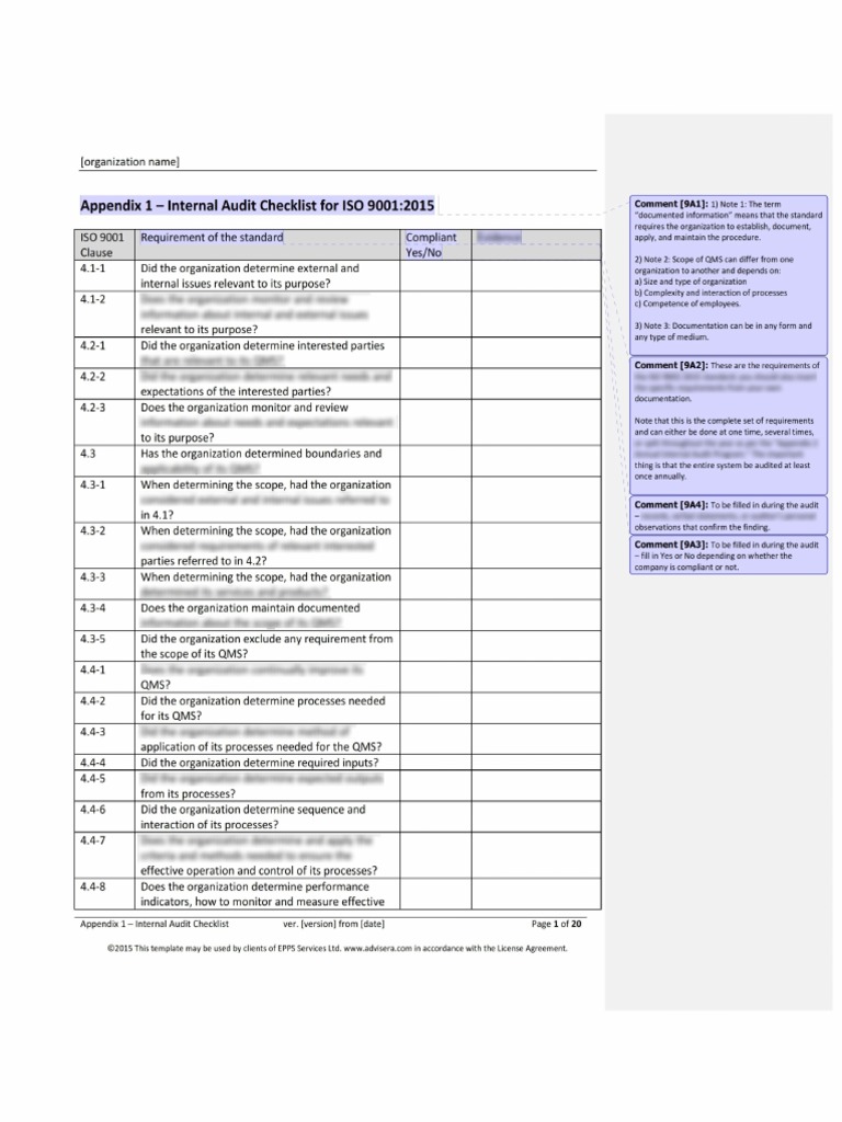 15.1 Appendix 1 Internal Audit Checklist en | PDF