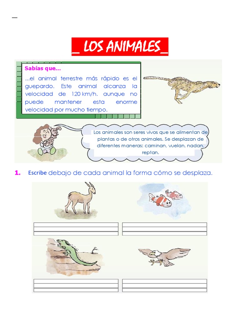 Los Animales para Primer Grado de Primaria | PDF