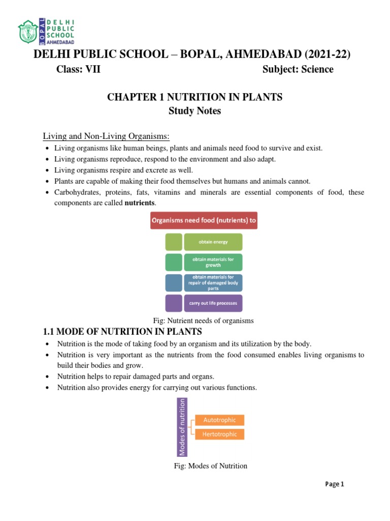 Notes-Ch - 1 Nutrition in Plants Notes | PDF | Photosynthesis | Leaf