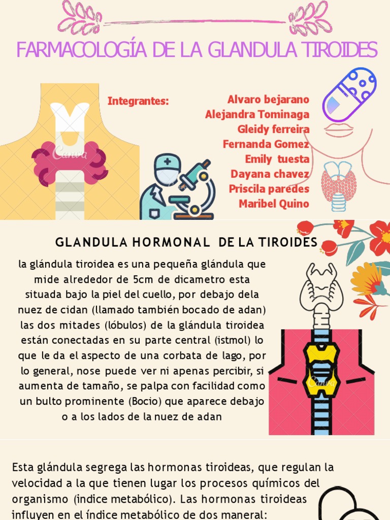 Tiroides, Paratiroides y Suprarrenales | PDF | Glándula suprarrenal | Tiroides
