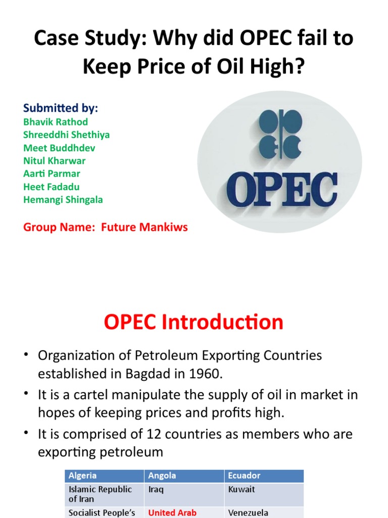 Case Study | PDF | Opec | Supply (Economics)