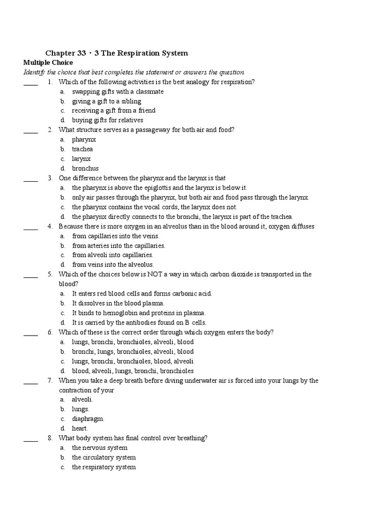 Chapter 33.3 Worksheet | PDF | Lung | Respiratory System