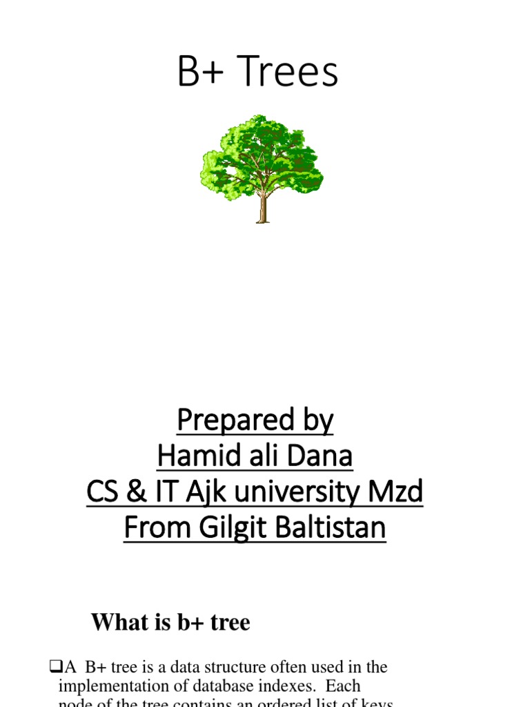 B Tree Dbms Pdf Database Index Algorithms And Data Structures