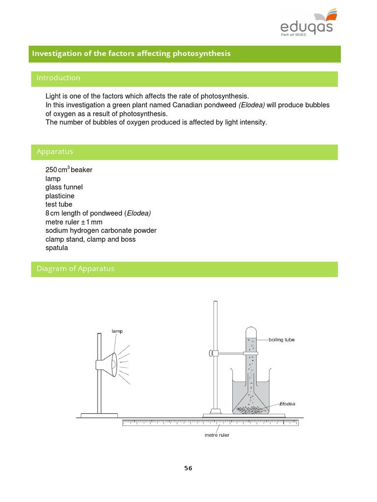 Investigation of The Factors Affecting Photosynthesis | PDF ...