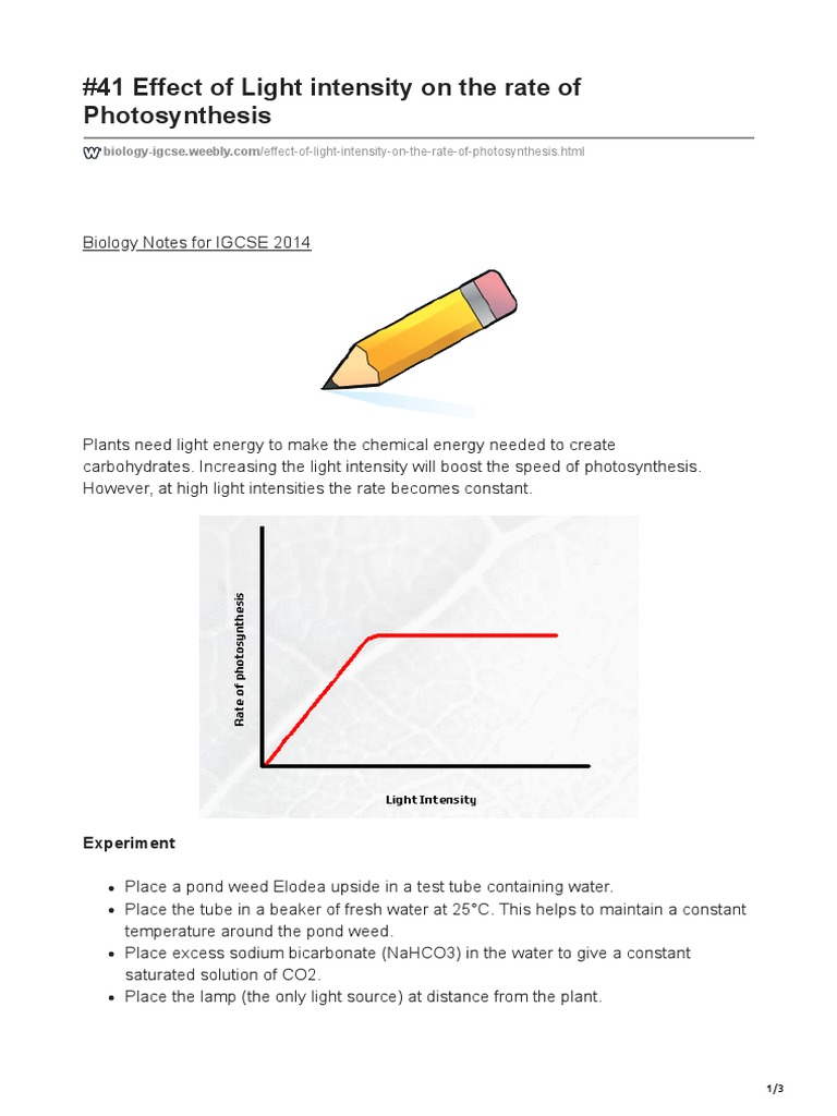 41 Effect of Light Intensity On The Rate of Photosynthesis | PDF ...