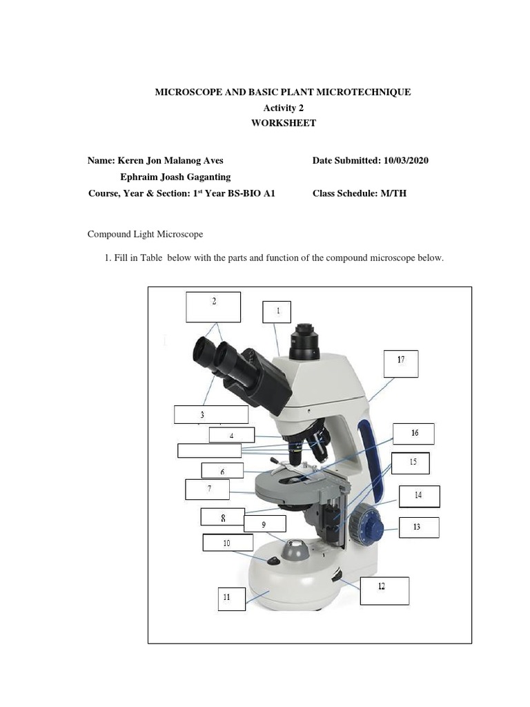 Microscope and Basic Plant Microtechnique Activity 2 Worksheet | PDF ...