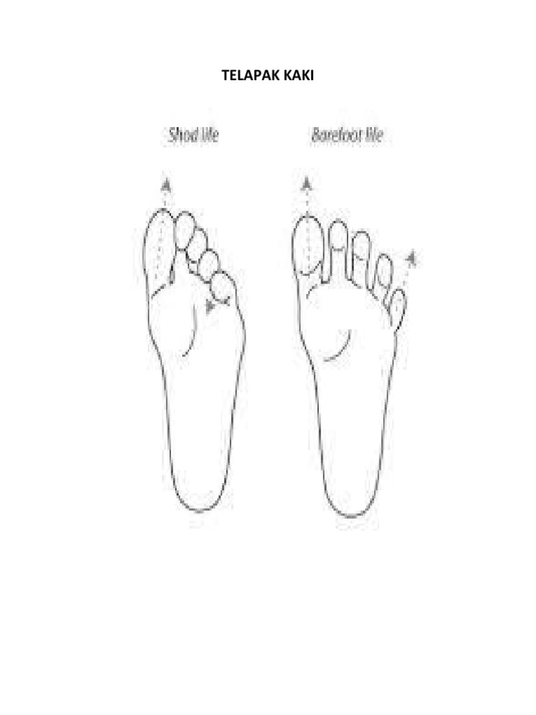 Telapak Kaki | PDF