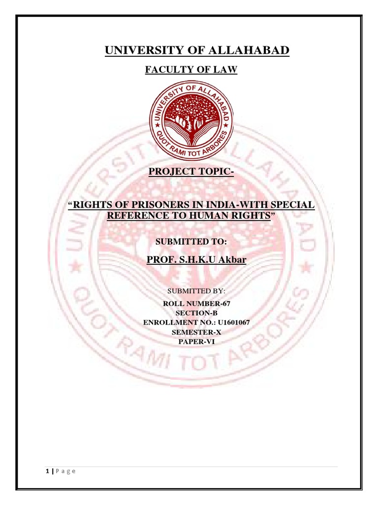 Rights of Prisoners | PDF | Human Rights | Prison