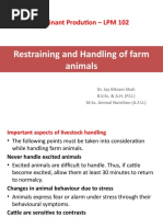 Chapter 1 Meat Inspection Procedures | PDF | Animal Slaughter | Meat