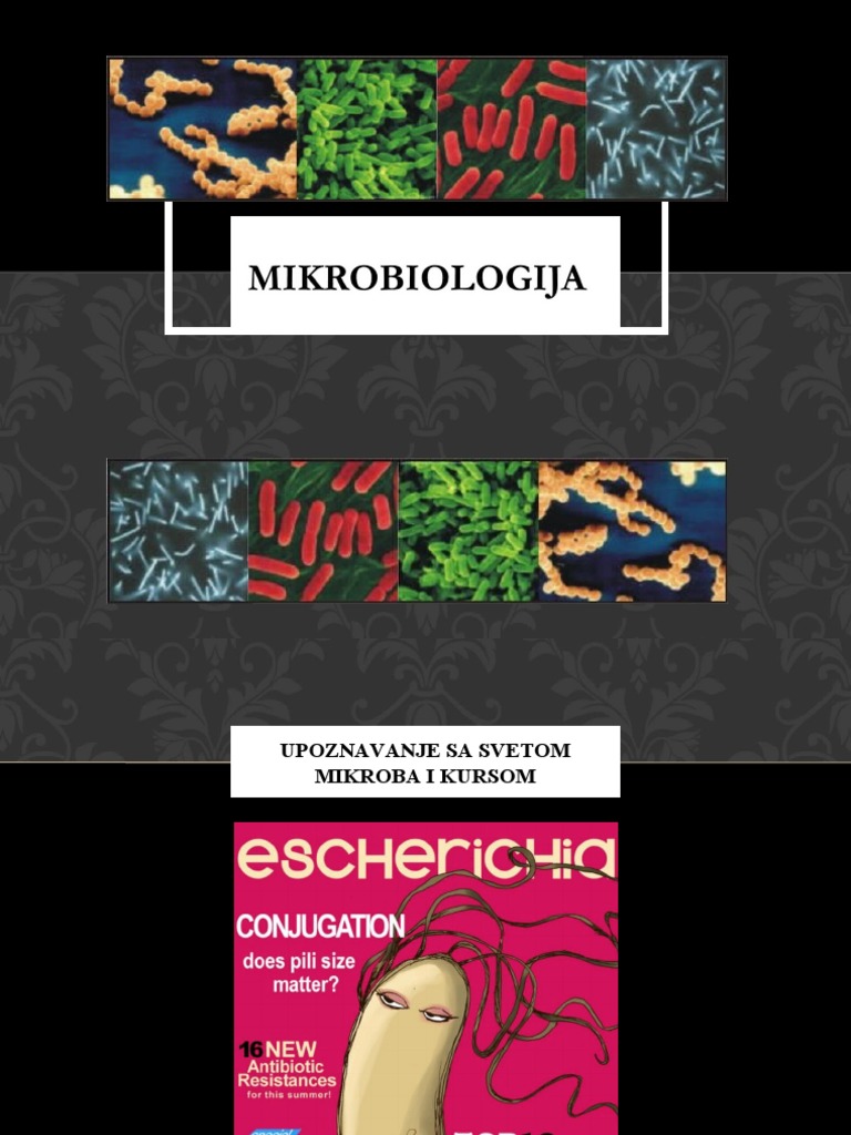 Mikrobiologija 2021 Predavanje 1 | PDF
