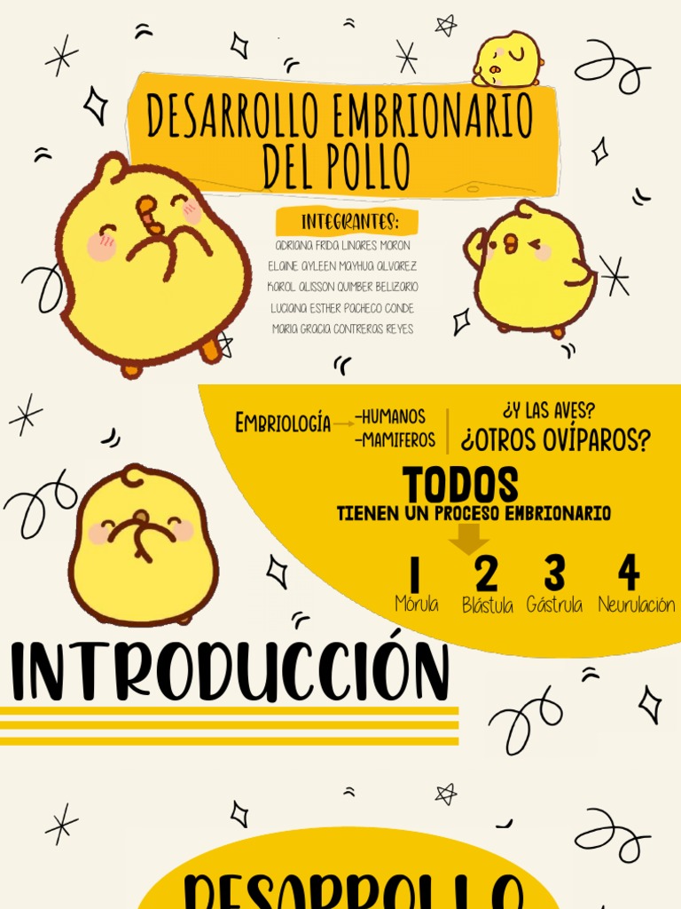 Desarrollo Embrionario Del Pollo Final | PDF | Biología | Anatomía