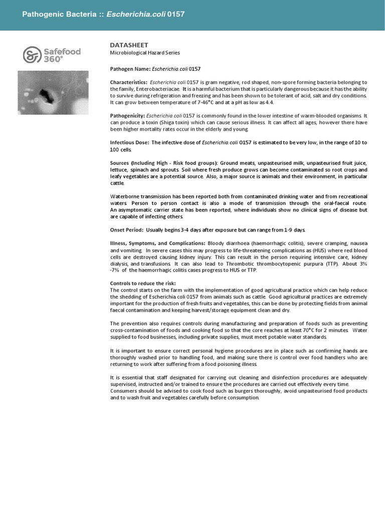 Escherichia - Coli 0157 | PDF