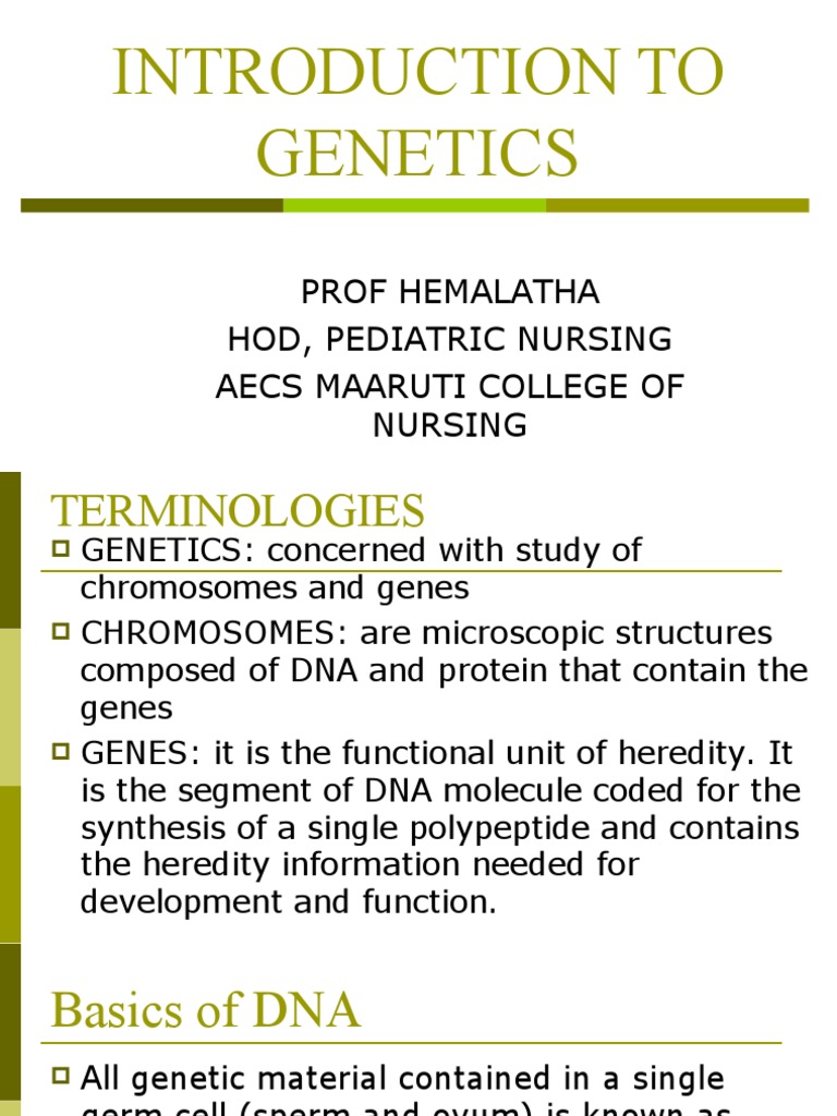 Introduction To Genetics | PDF | Meiosis | Mitosis