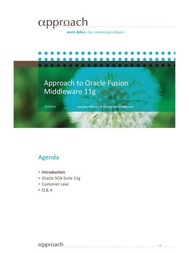 Approach To Oracle Fusion Middleware 11g Pdf Service Oriented 9236