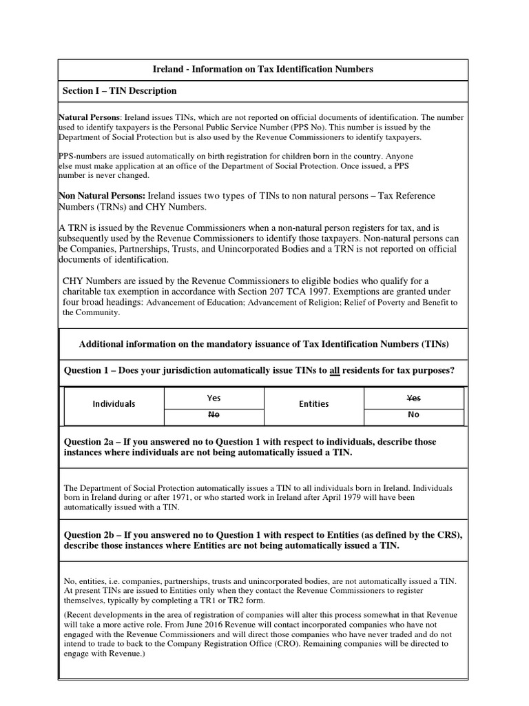 Ireland TIN | PDF | Charitable Organization | Government