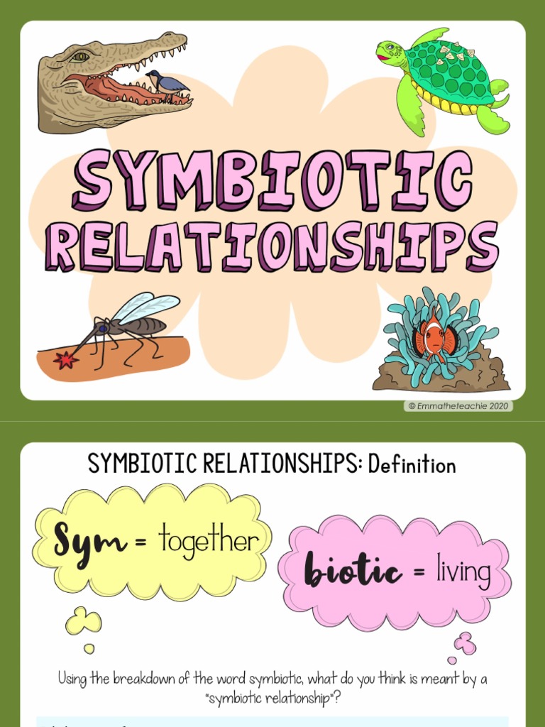 Copy of Symbiotic Relationships - Student Slides | PDF