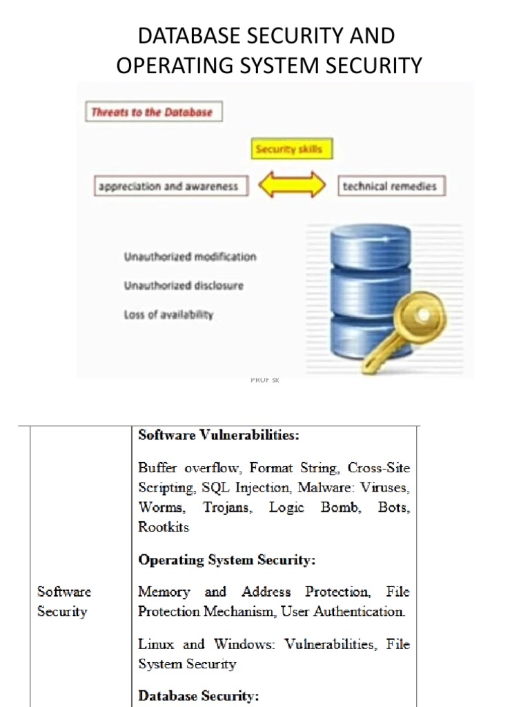 Database Security And Operating System Security Prof Sk Pdf Databases Computer Security 