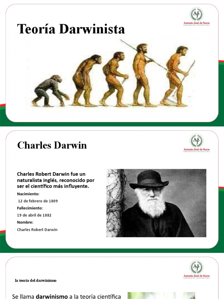 La influyente teoría de la evolución de las especies a través de la ...