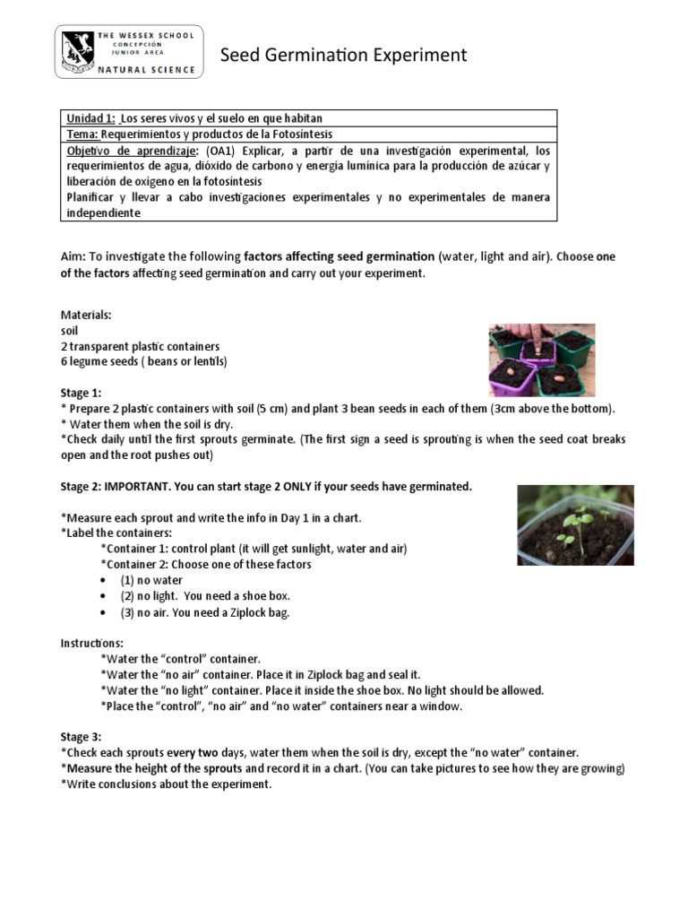 Seed Germination Experiment Guide | PDF | Seed | Germination