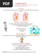 Grados de Varicocele: Clasificación y Evaluación | PDF | Sistema ...