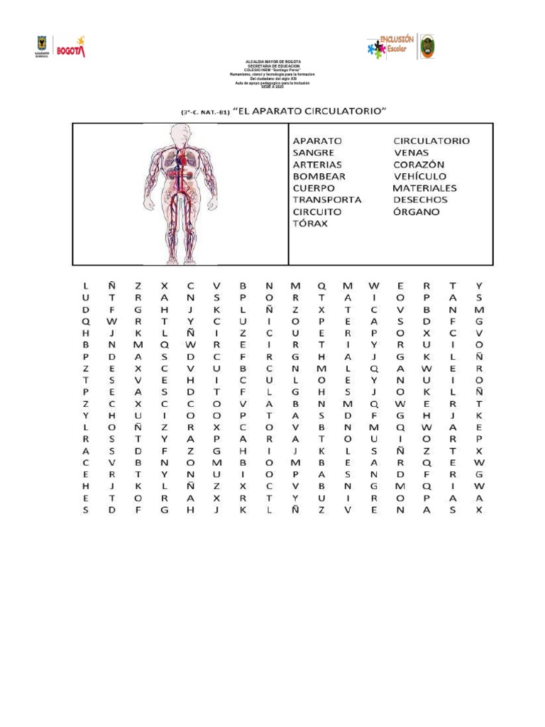 Sopa de Letras Ciencias | PDF