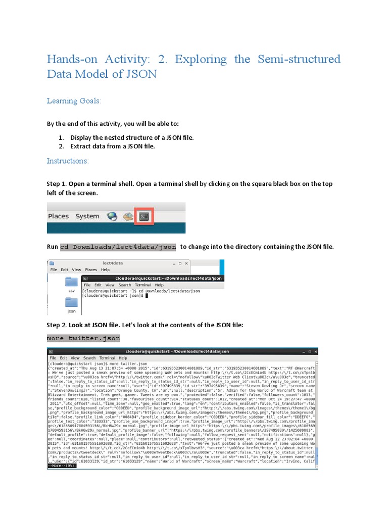 Hands-On Activity: 2. Exploring The Semi-Structured Data Model of JSON | PDF