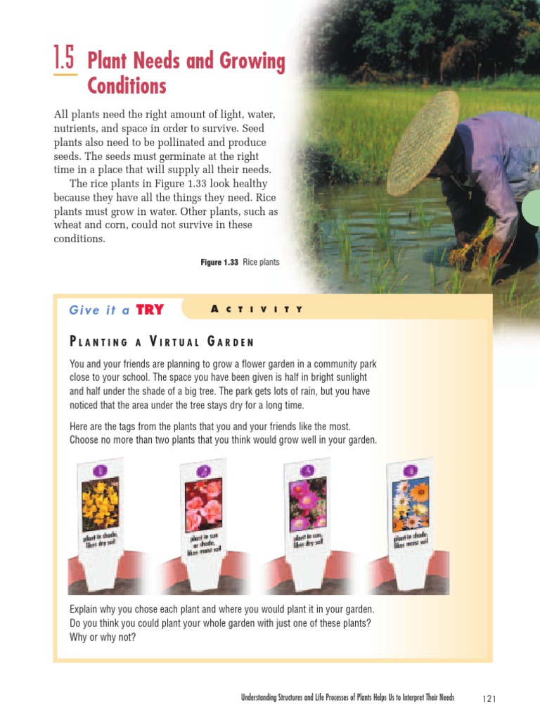 Plant Needs and Growing Conditions: Give It A | PDF | Plants | Natural ...