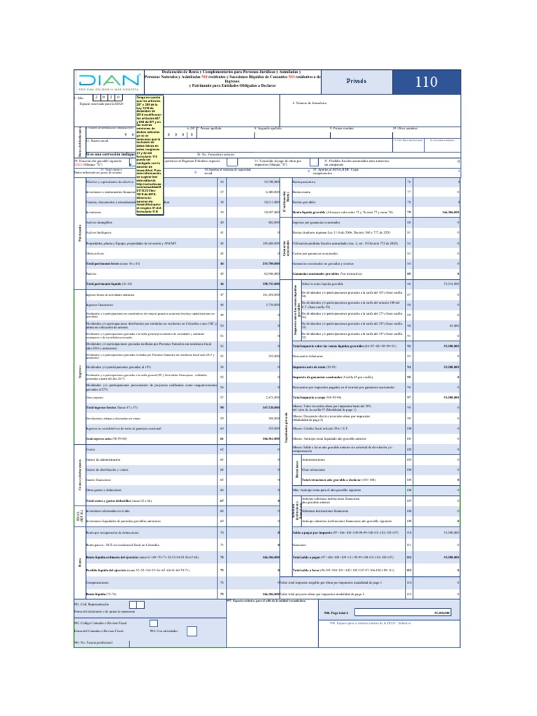 Formulario 110 DIAN 2024 en Excel | PDF | Dividendo | Impuestos